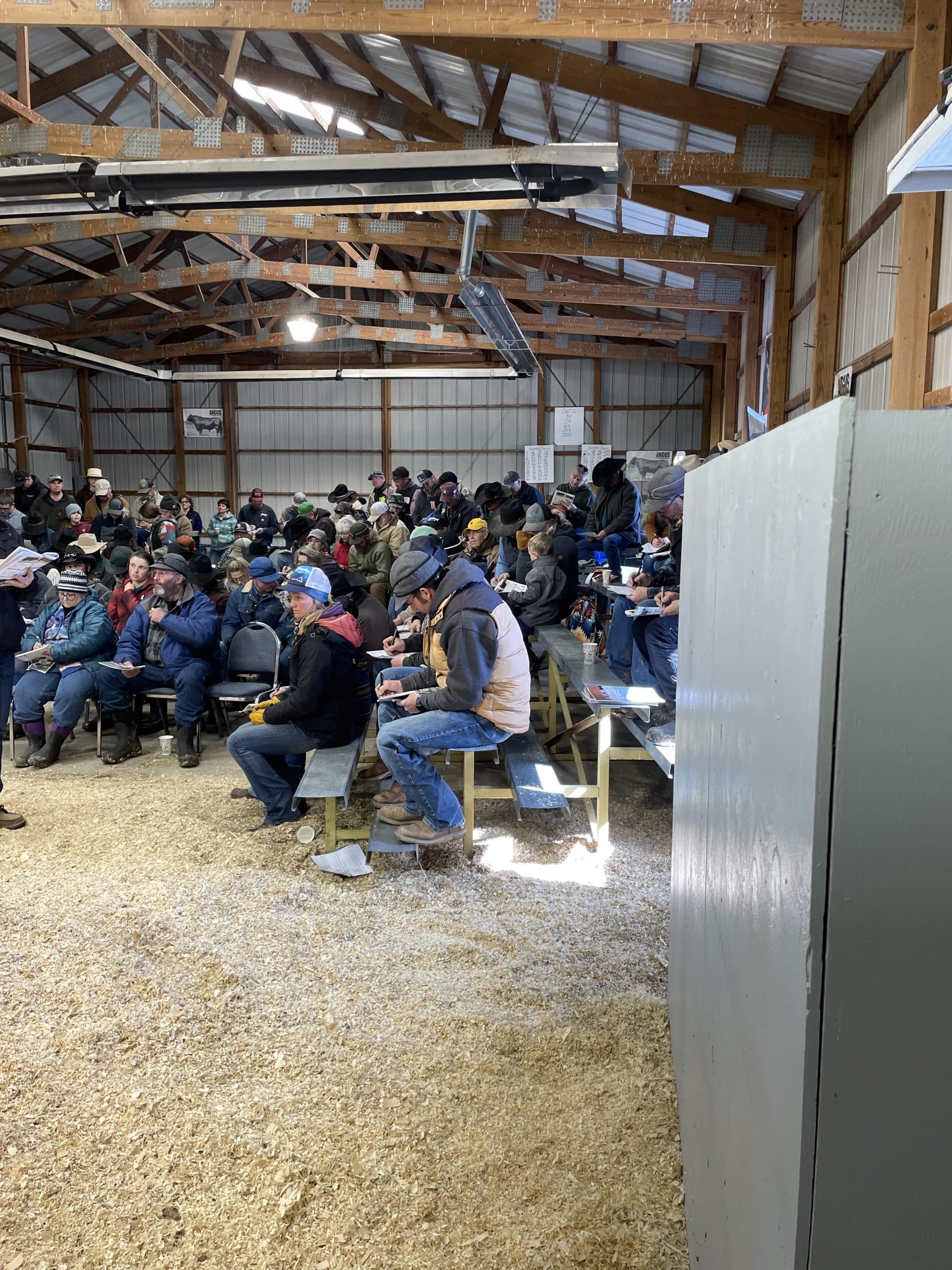 Reyes/ Russell Angus Bull Sale | TheFencePost.com