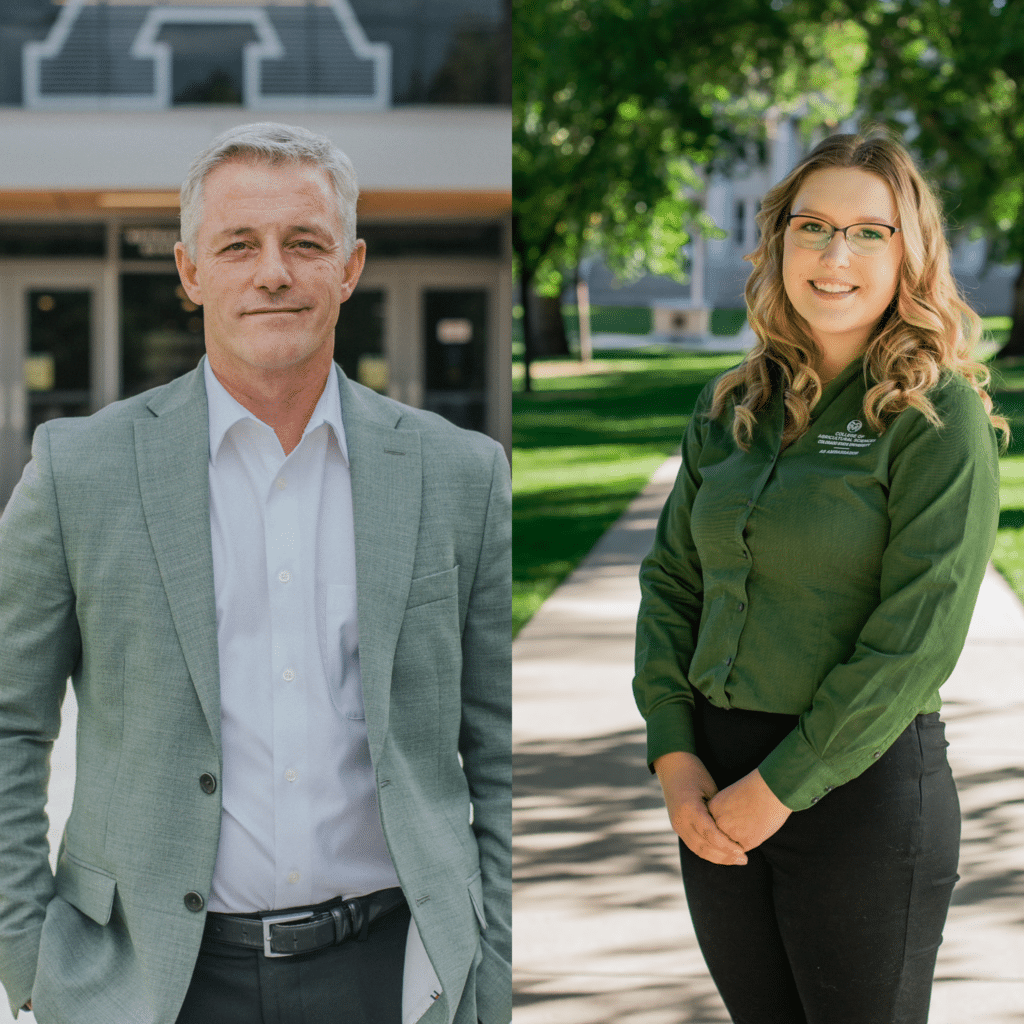 CSU innovators, educators, researchers and rising stars honored among ...