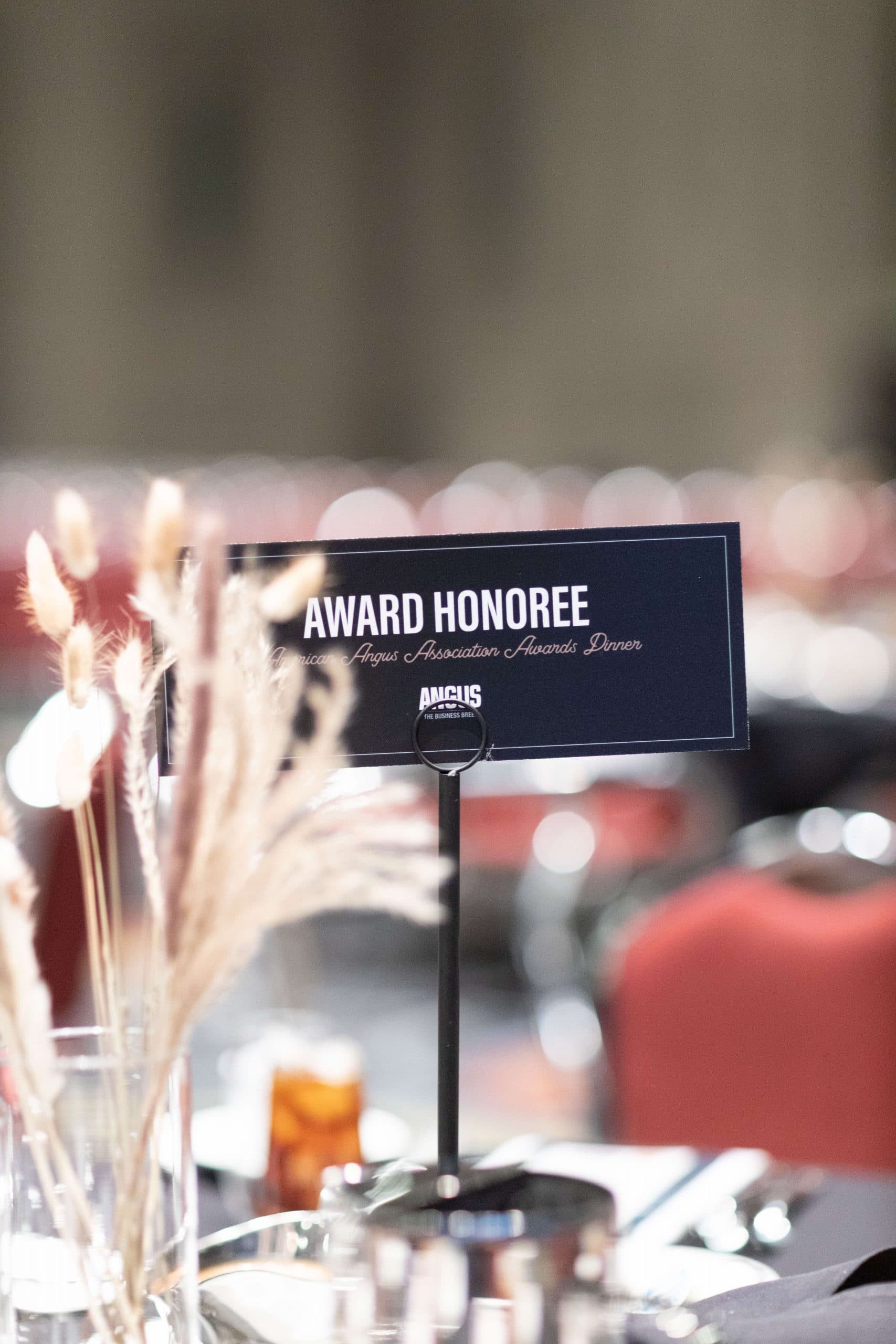 American Angus Association announces new award recognitions ...