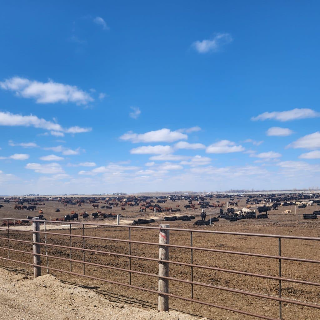New leader at Nebraska Cattlemen packs 20-plus years of legislative ...