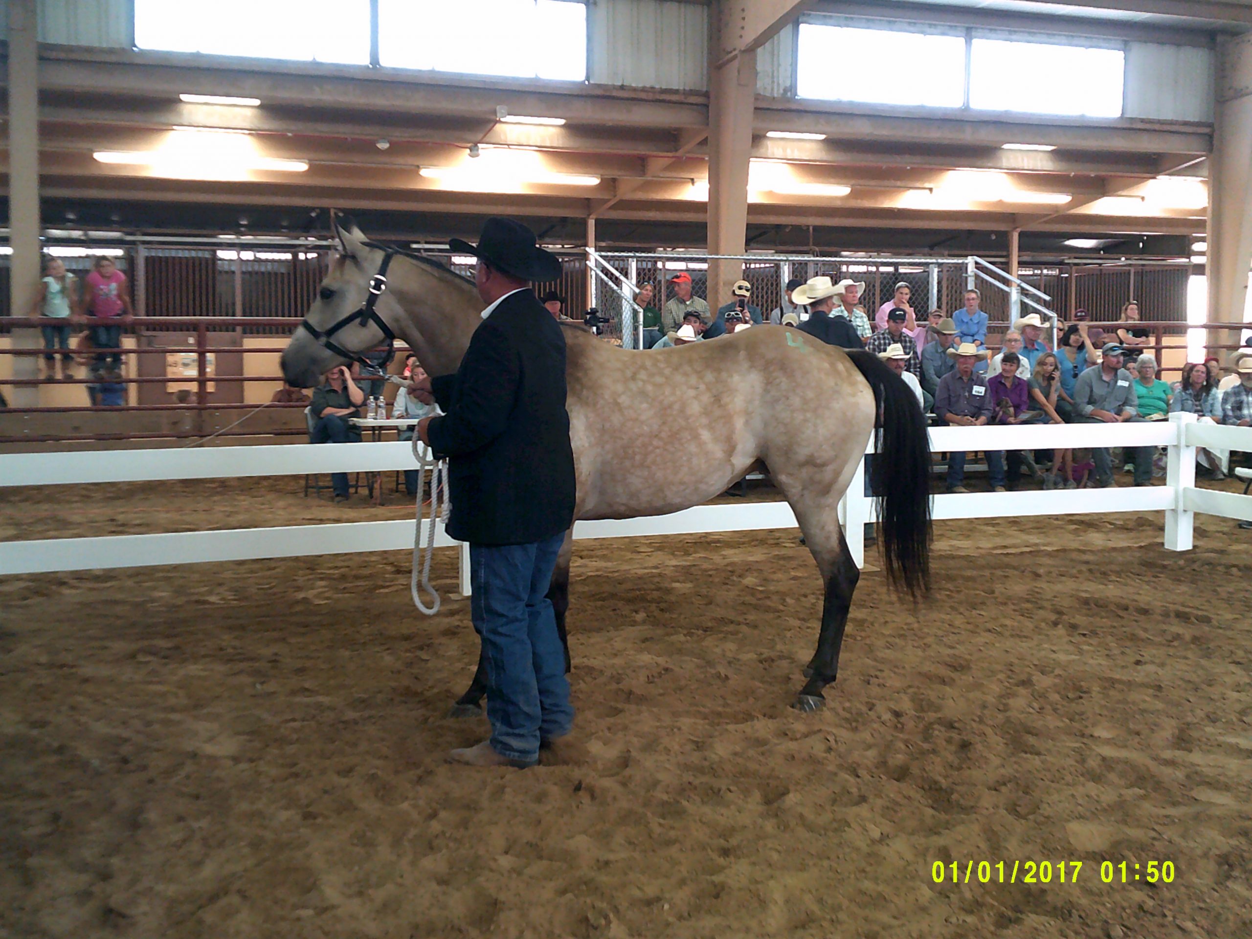 KeSa Quarter Horses, The Sequel | TheFencePost.com