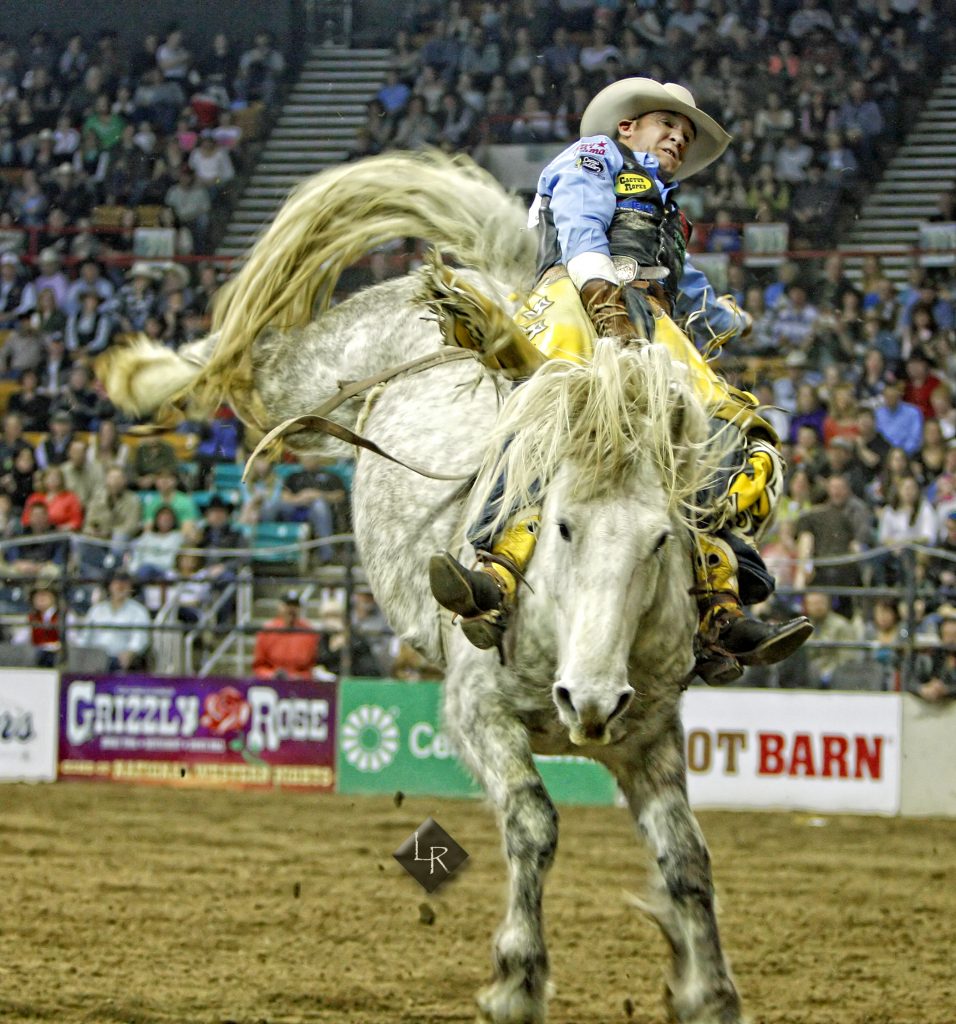 Mote in the ProRodeo Hall of Fame in 2022 | TheFencePost.com