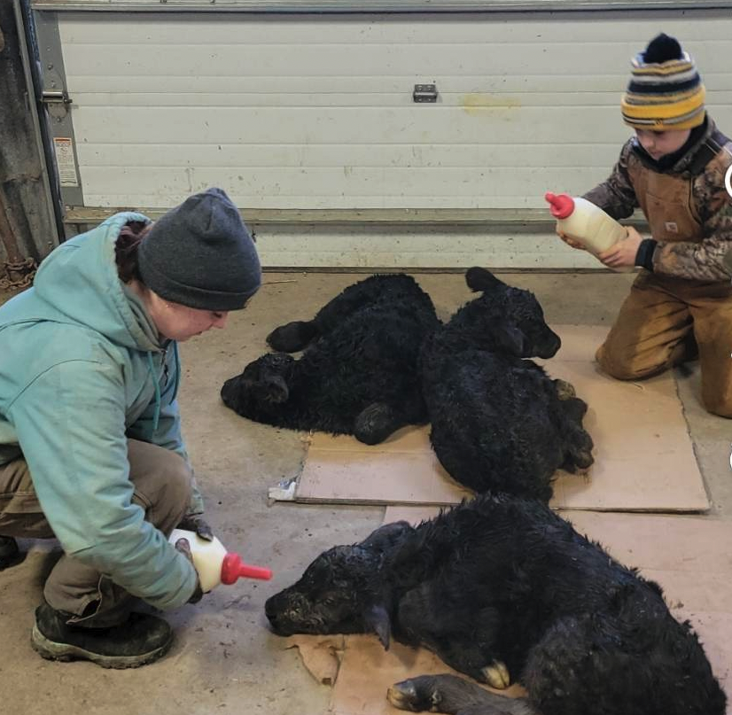 Landowners say no to Summit Carbon Solutions easements; eminent domain ...