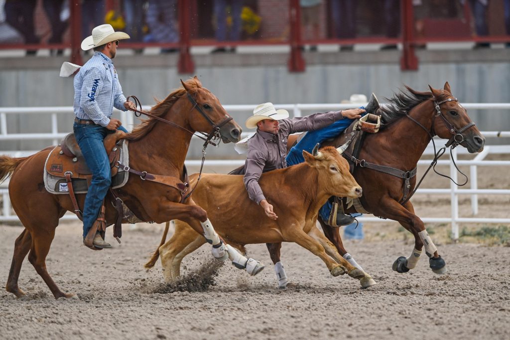 Hay aims for Cheyenne Frontier Days bronc riding title | TheFencePost.com