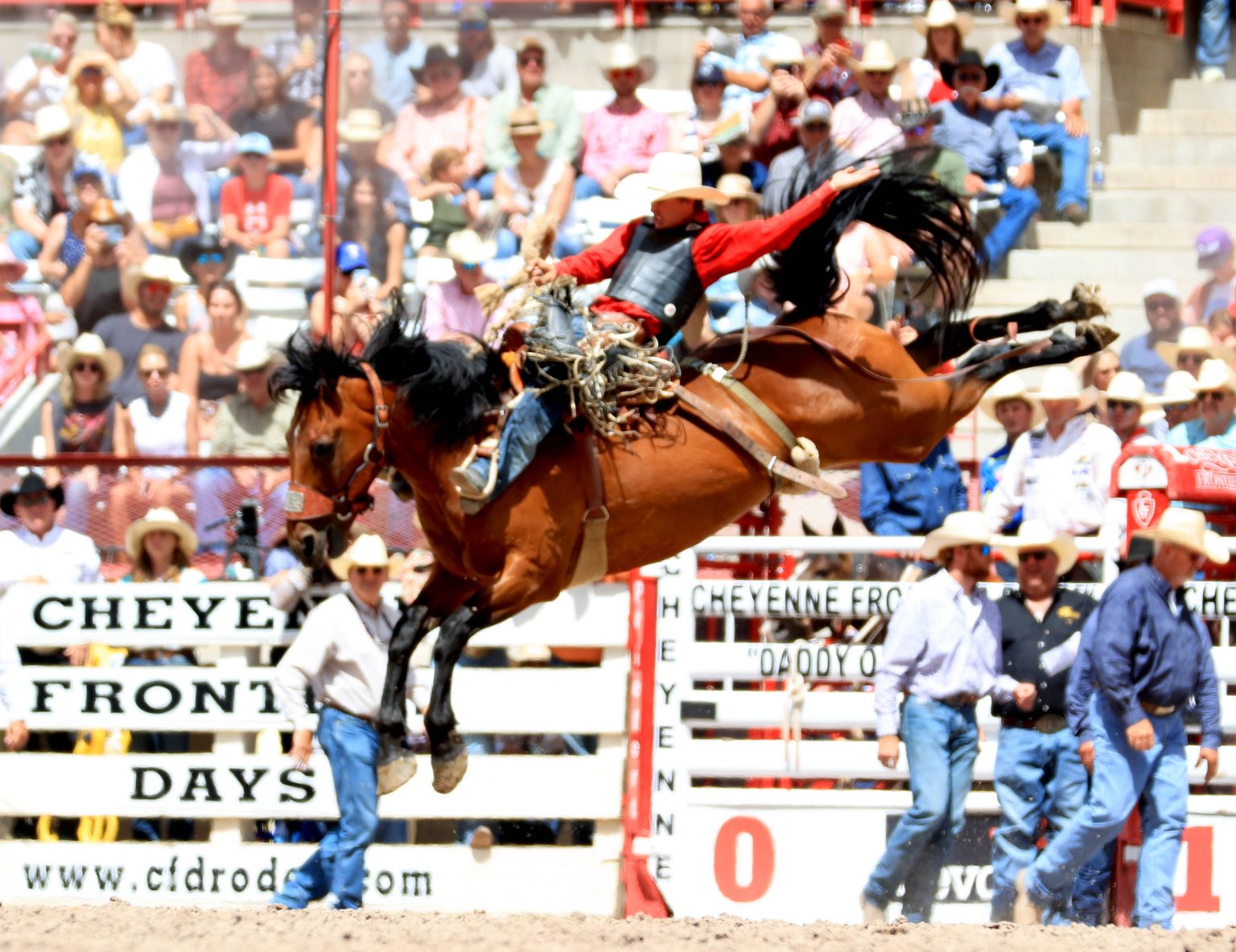 History Made at 127th Cheyenne Frontier Days Rodeo | TheFencePost.com