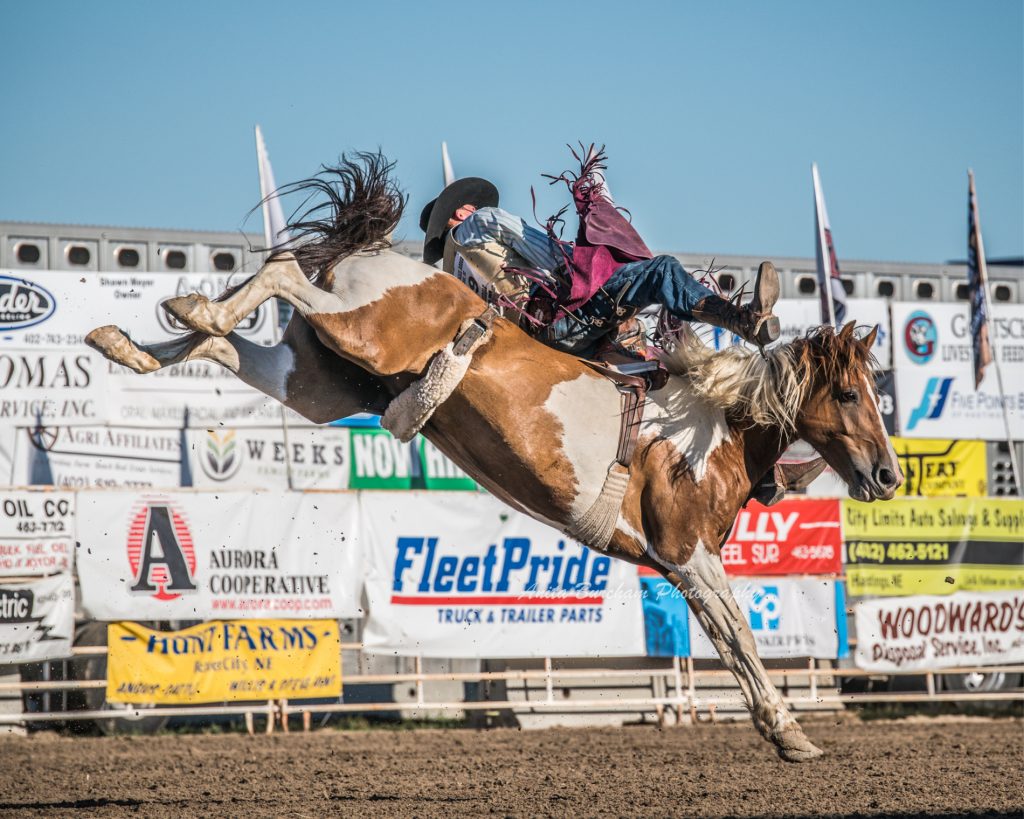 Cowboy up | TheFencePost.com