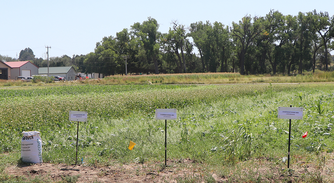 Cover Crops a focus at annual WREEC Water and Crops Field Day ...