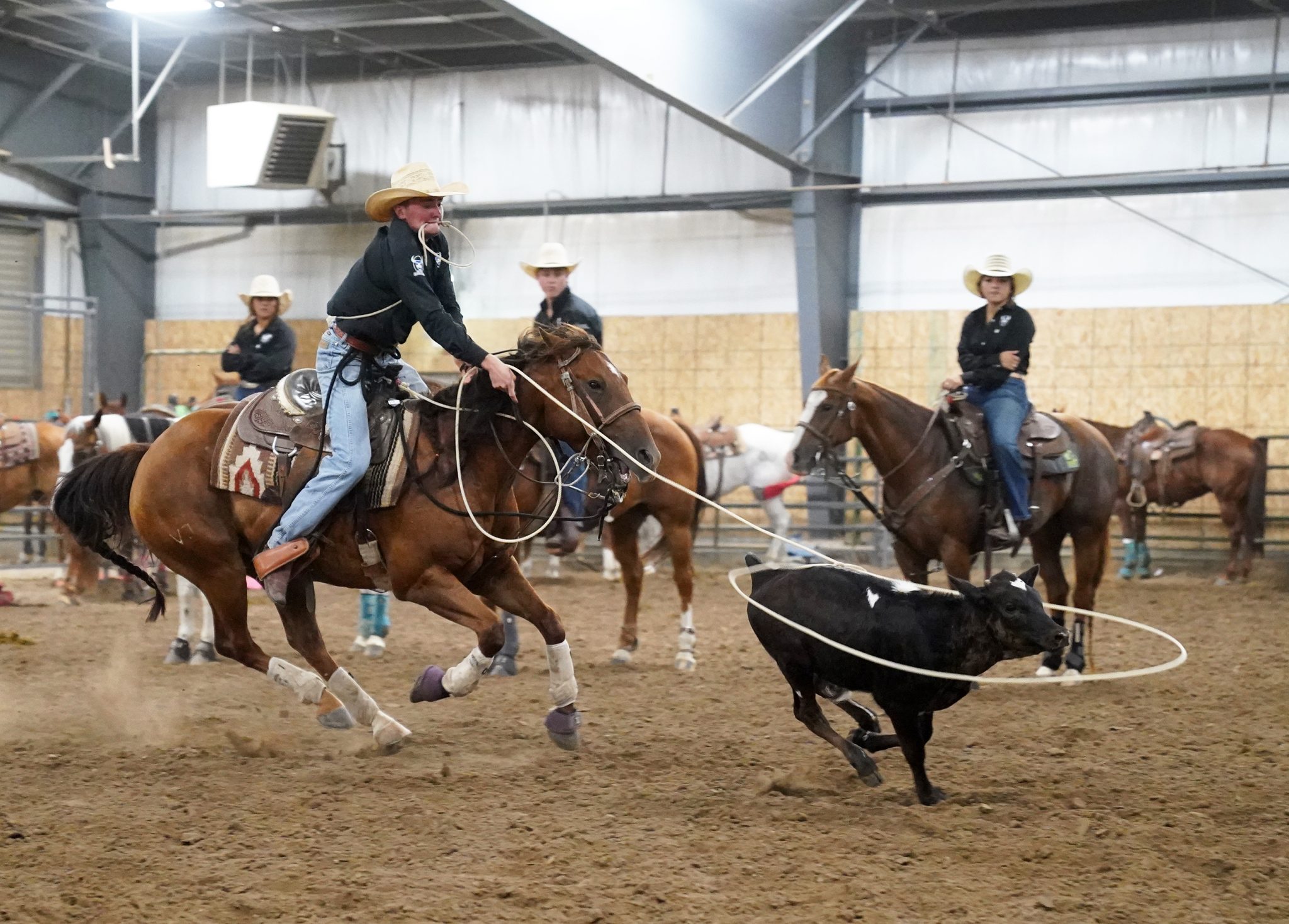 Watch parties announced for MPCC Rodeo Team | TheFencePost.com
