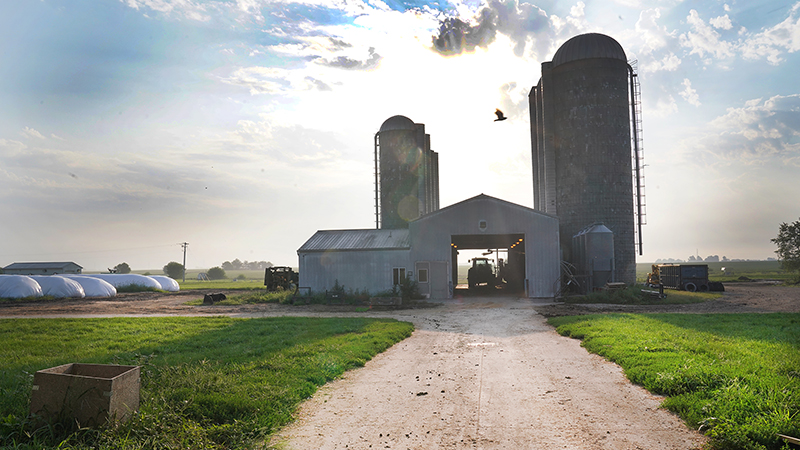 $1M USDA grant to Purdue aims to boost efficiency at dairy farms ...
