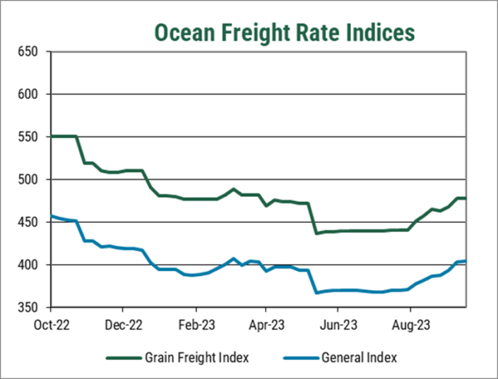 Rising ocean freight rates pushed by uptick in fuel costs, Chinese ...