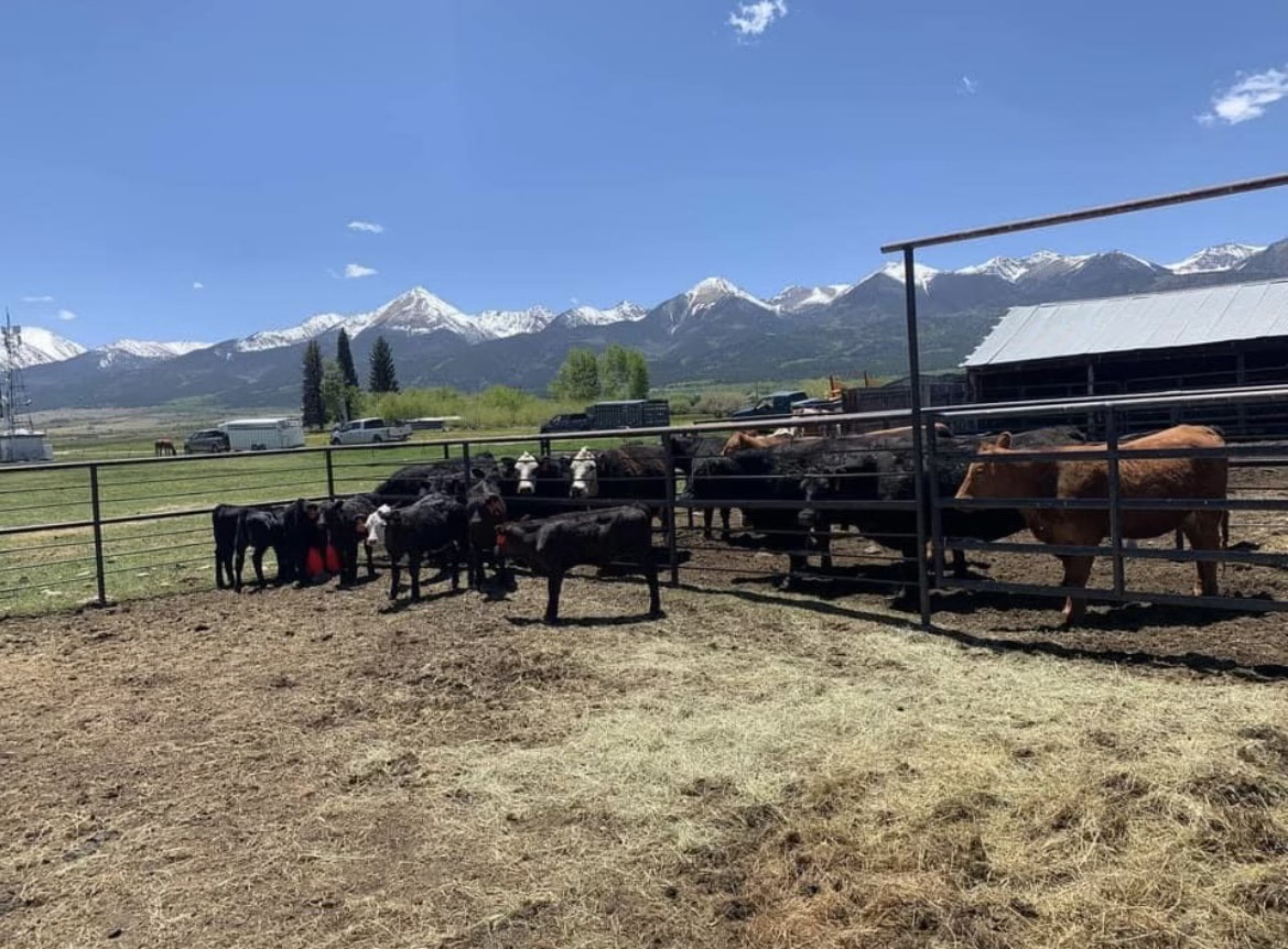 Custer County FFA-operated Riggs Ranch a successful partnership ...