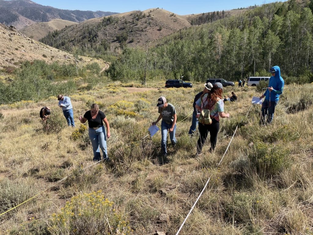 UW’s Rangeland Ecology and Watershed Management Program among the few ...