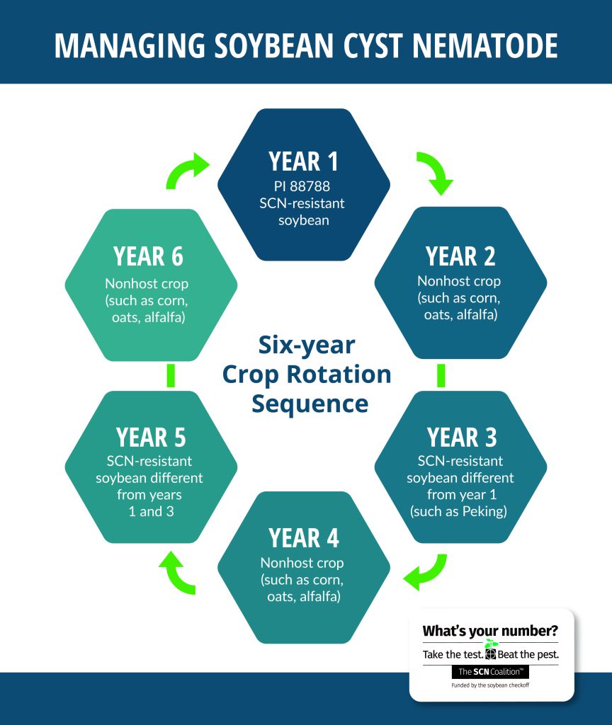 SCN experts share how to put SCN soil test results into action ...