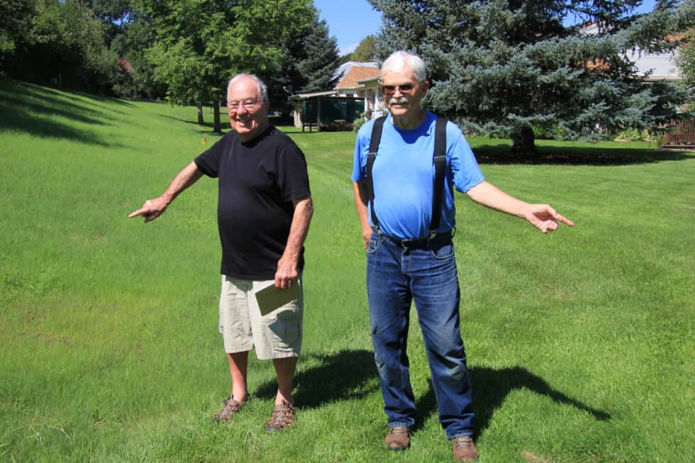 How bluegrass lawns became the default for urban landscapes ...