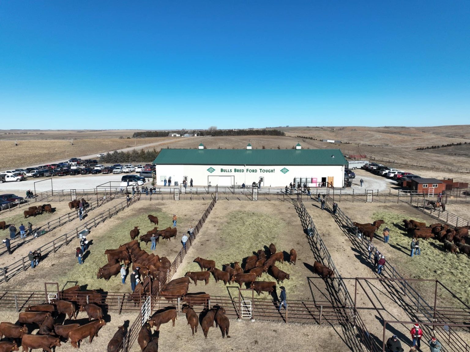 Cross Diamond Cattle Co 18th Annual Production Sale | TheFencePost.com