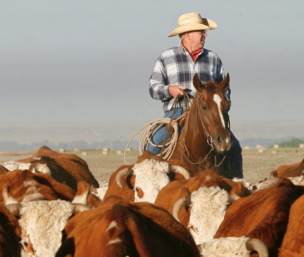Breeder’s Connection 2024 | Jamison Ranch Herefords and Quarter Horses ...