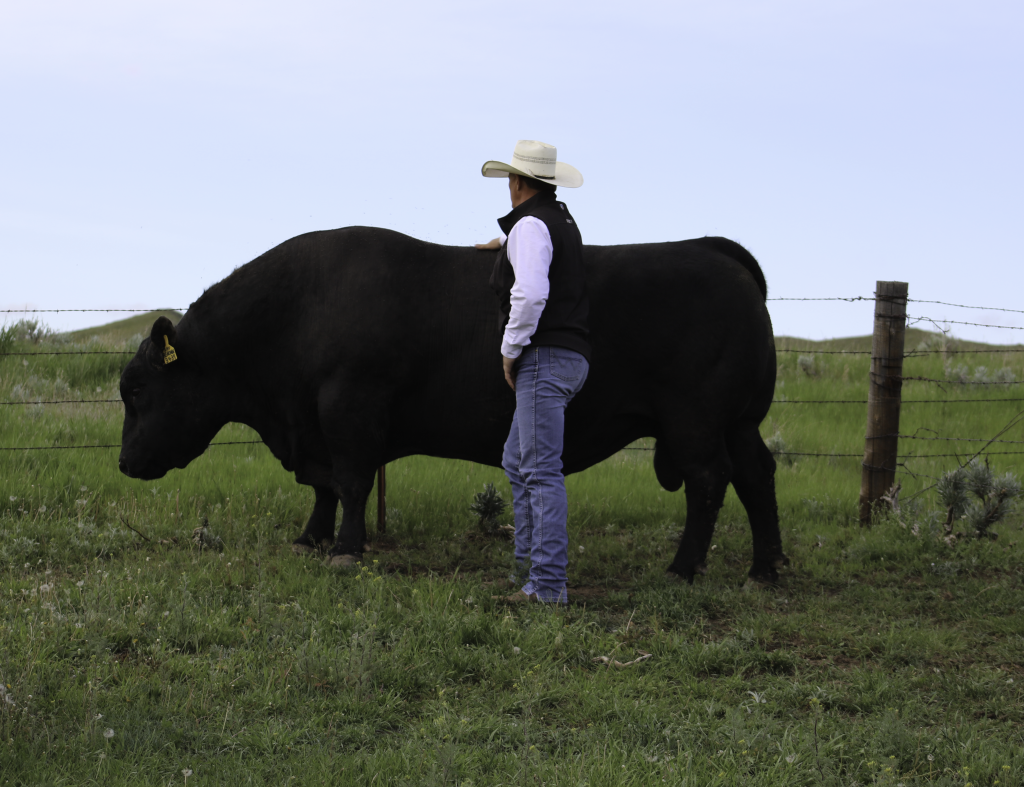 Breeder’s Connection 2024 | D Lazy T Ranch | TheFencePost.com