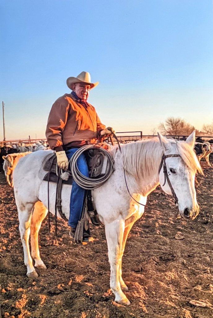 Breeder’s Connection 2024 | Good Lookin’ Horses that Ride ...