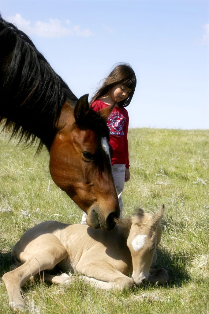Breeder’s Connection 2024 | Rusza Quarter Horses | TheFencePost.com