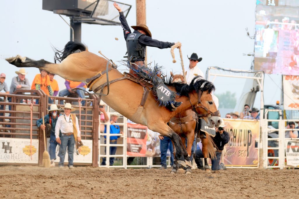 Breeder’s Connection 2024 | Burch Rodeo Company | TheFencePost.com