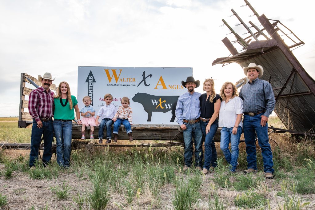 Breeder’s Connection 2024 | Walter Angus | TheFencePost.com