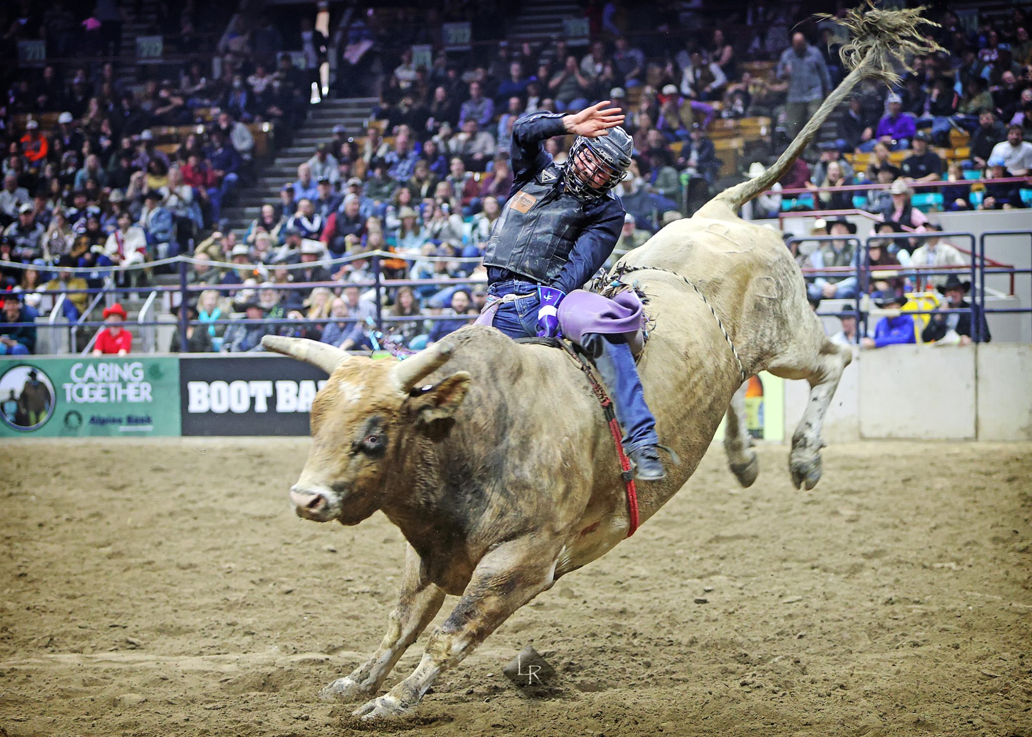 ‘Crazy but huge’ | TheFencePost.com