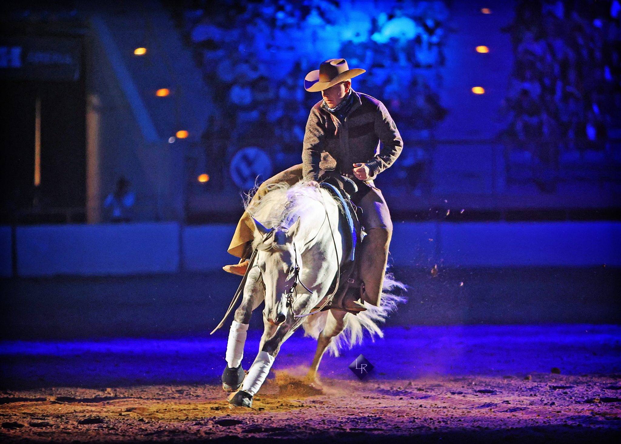 Soaring rein | TheFencePost.com