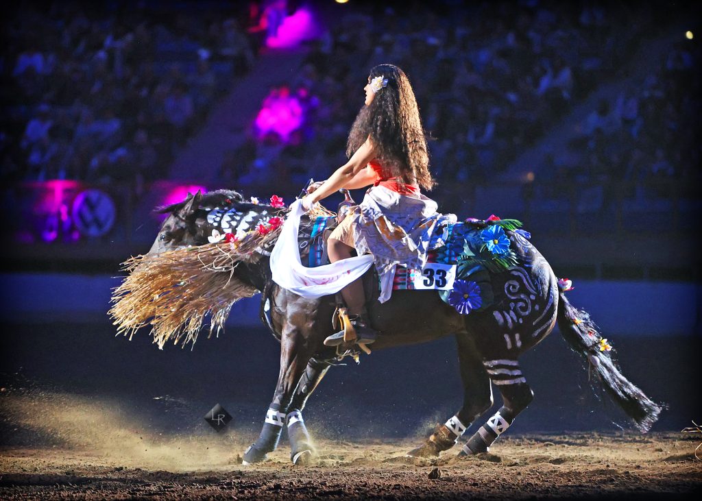 Soaring rein | TheFencePost.com
