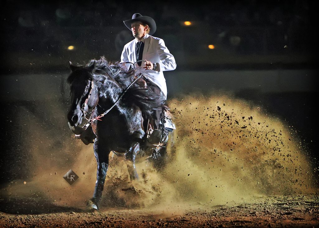 Soaring rein | TheFencePost.com