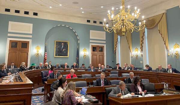 Crystal Lyons and Strider: A perfect partnership | TheFencePost.com