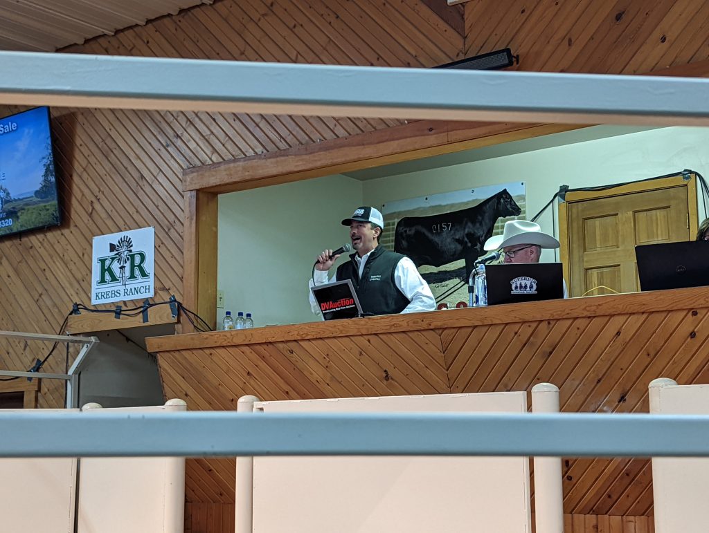 Krebs Ranch Bull Sale | TheFencePost.com