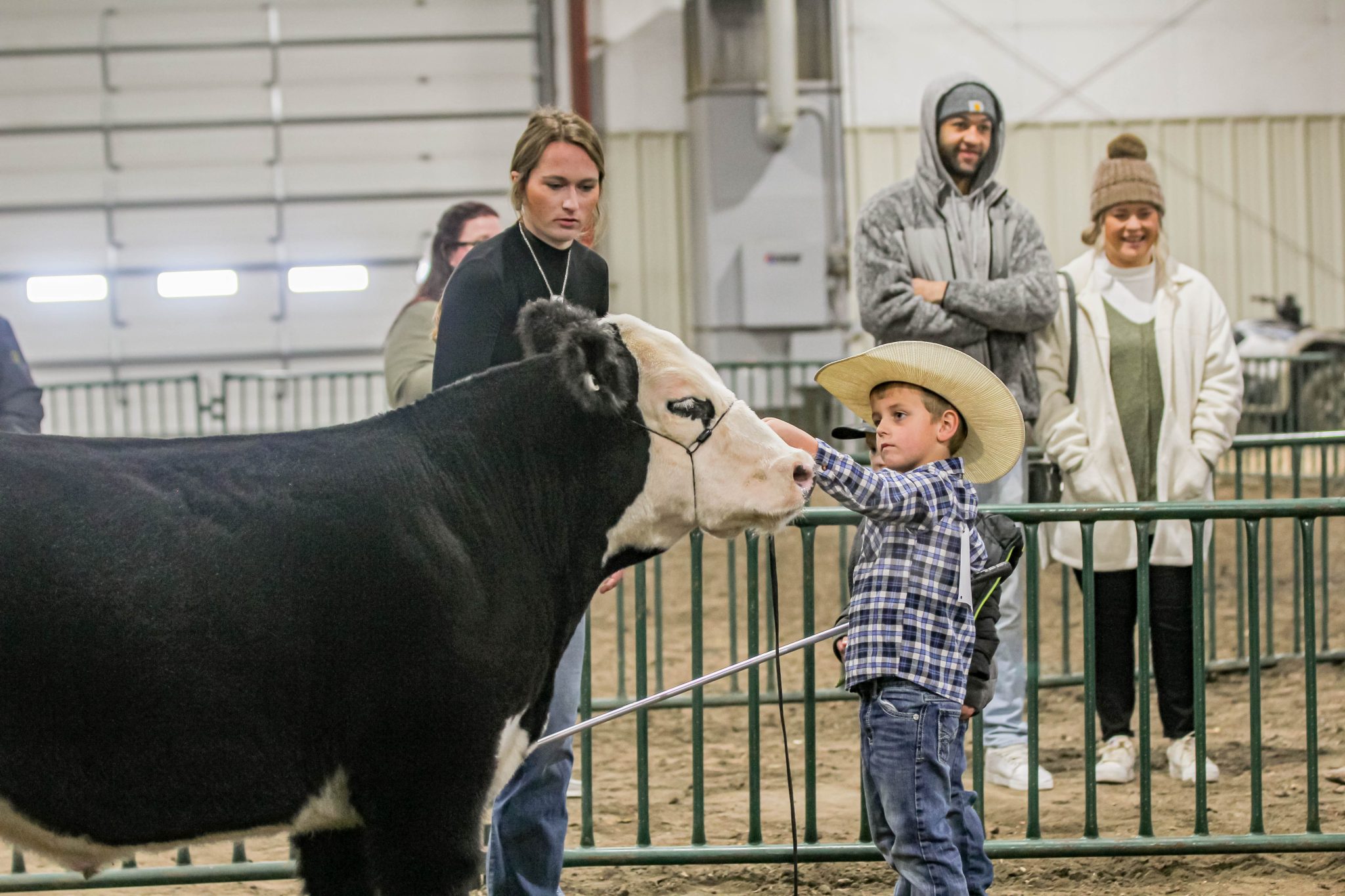 Amherst FFA to host 17th Annual Mid-Nebraska Spring Beef Show ...
