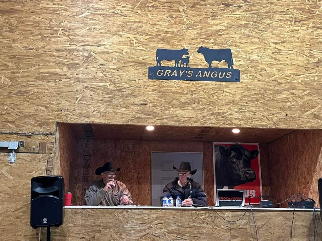 Gray’s Angus Ranch “Second Century” Performance Bull Sale ...