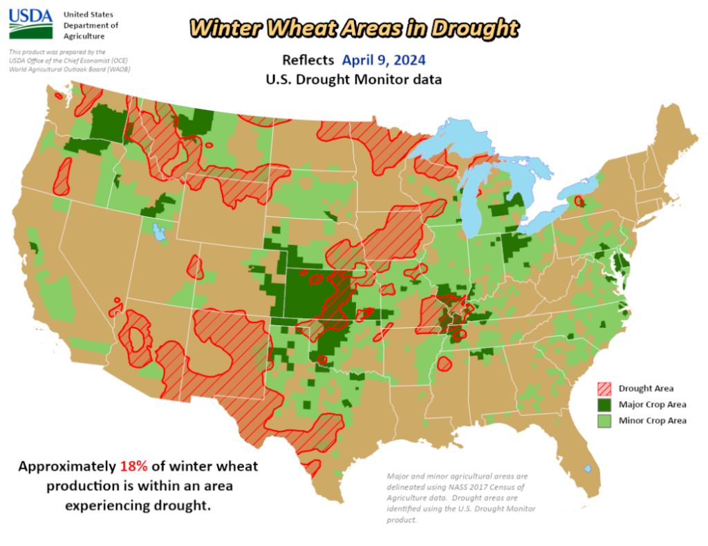 A better start for US hard red winter wheat conditions | TheFencePost.com