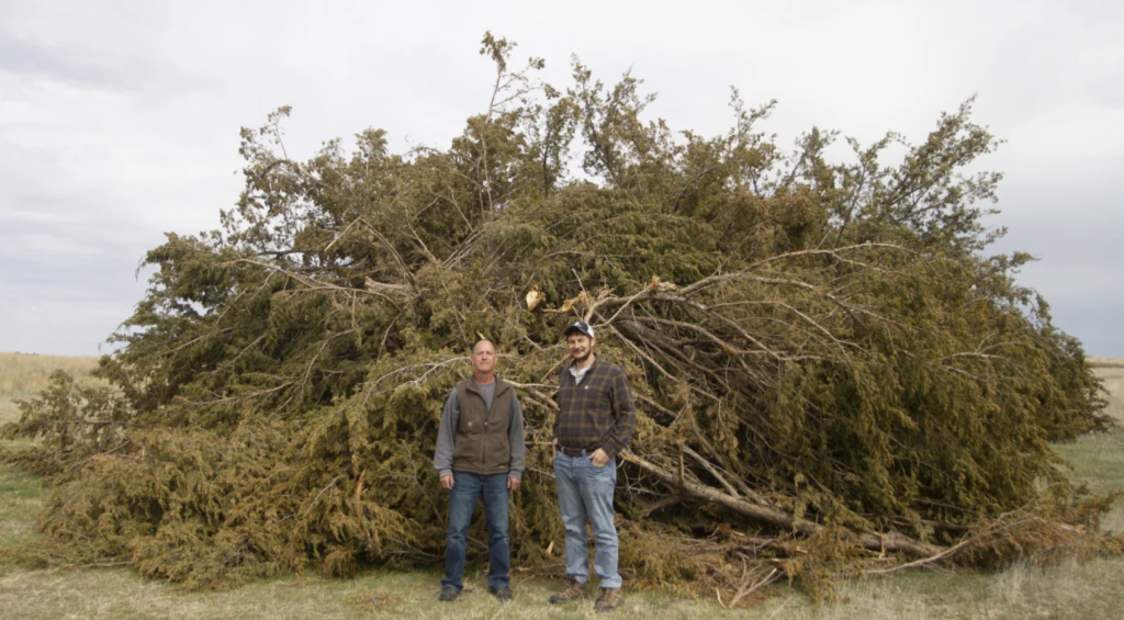 University helps neighboring ranchers oust redcedars | TheFencePost.com