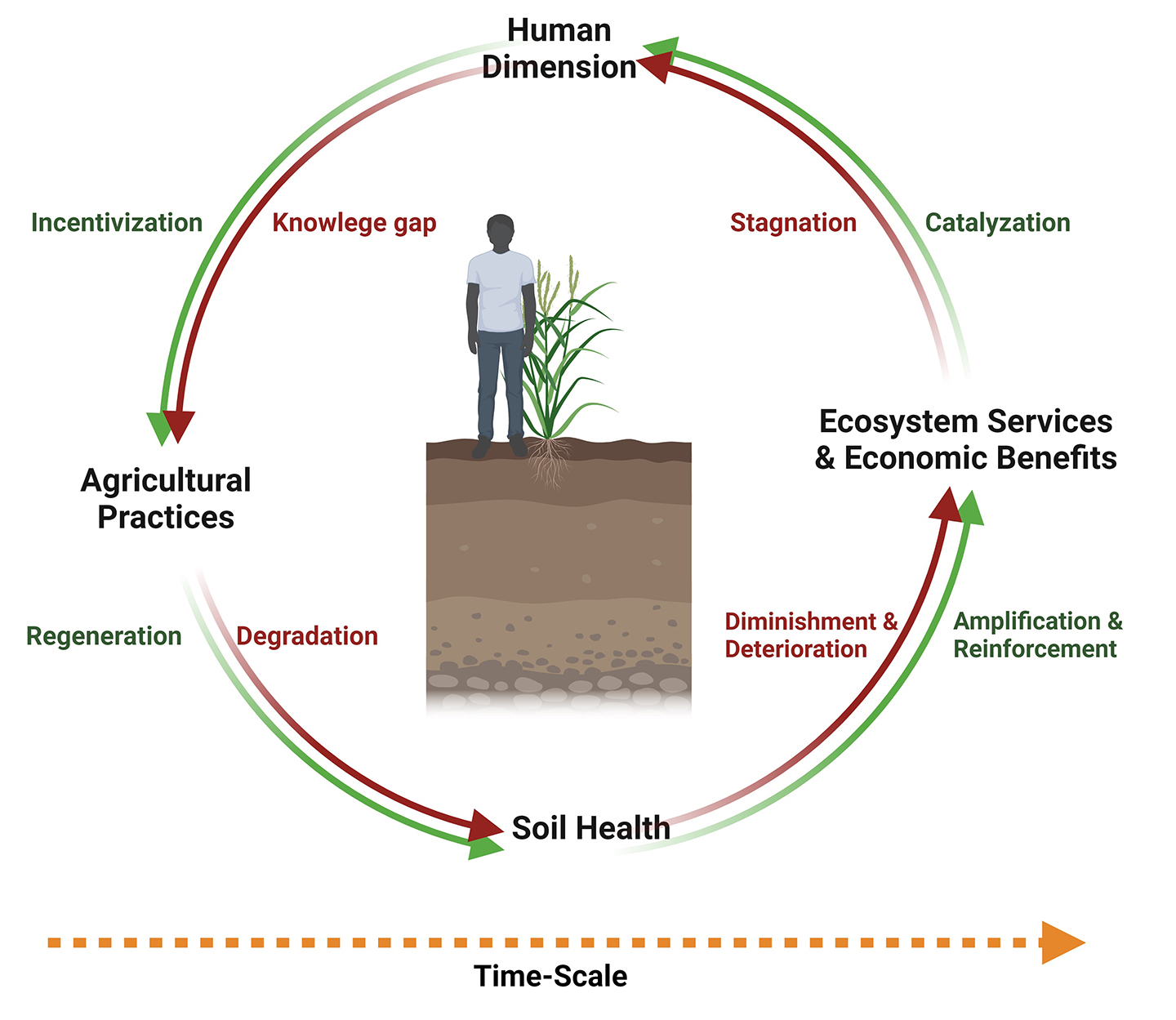 UNL researchers advance Soil Health Cycle concept | TheFencePost.com