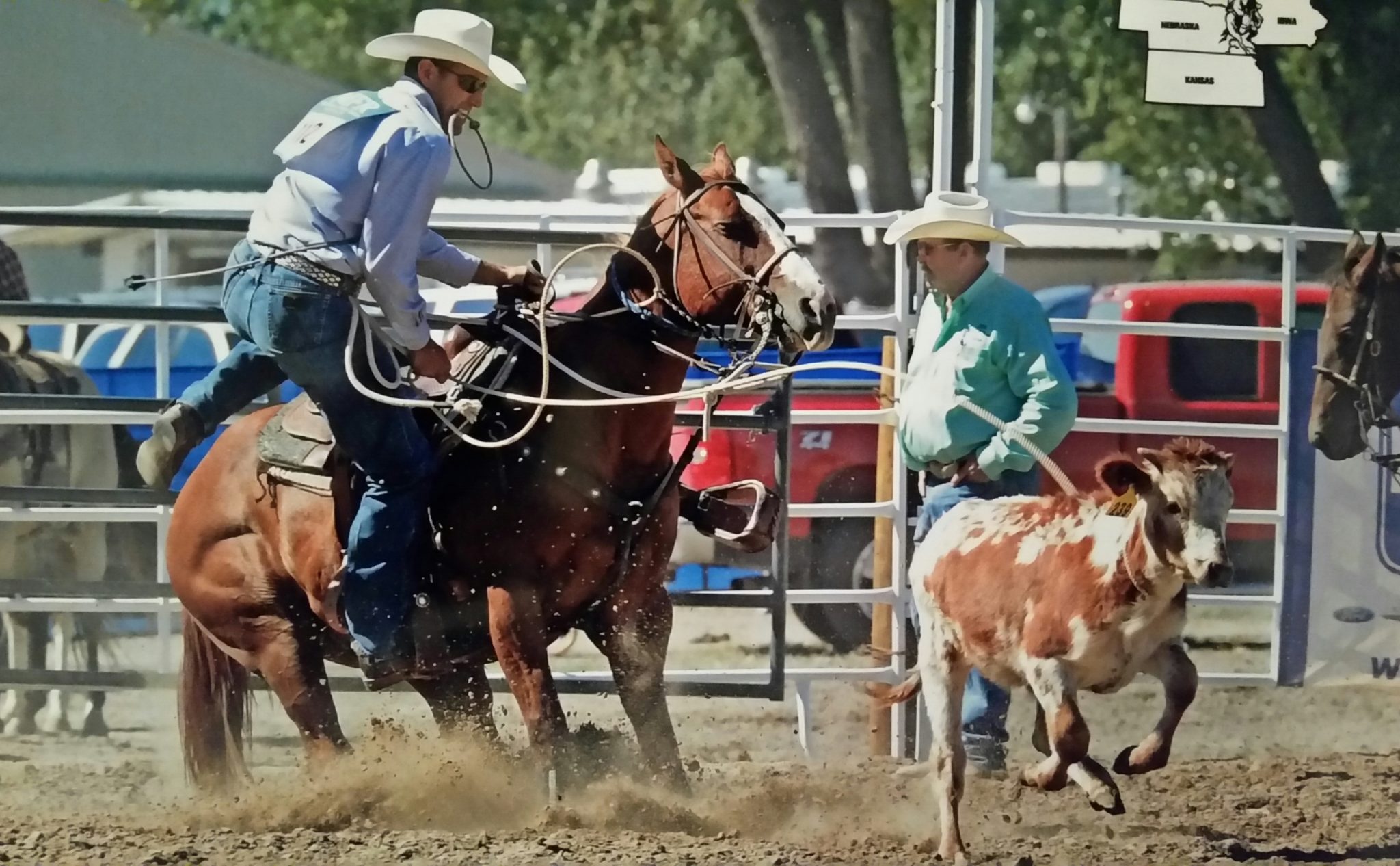 From cowboy to committee | TheFencePost.com