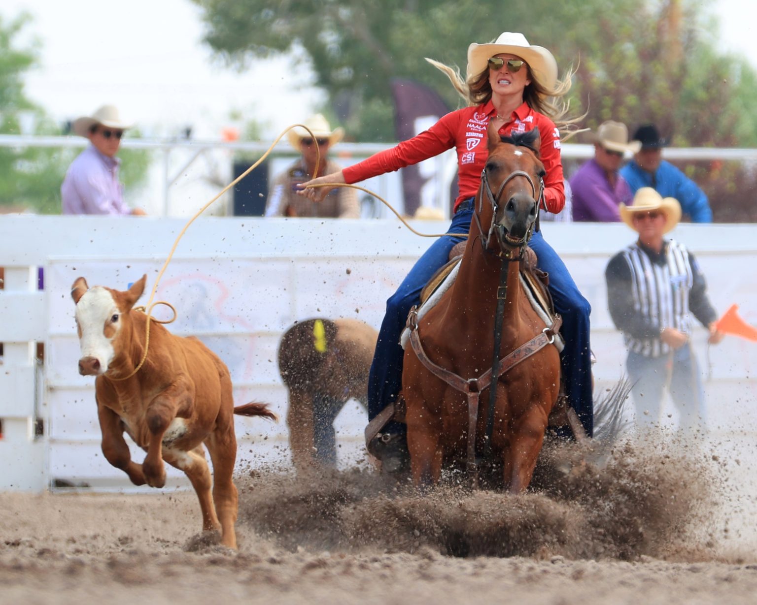 CFD Rodeo to wrap up Quarterfinals action on Thursday | TheFencePost.com