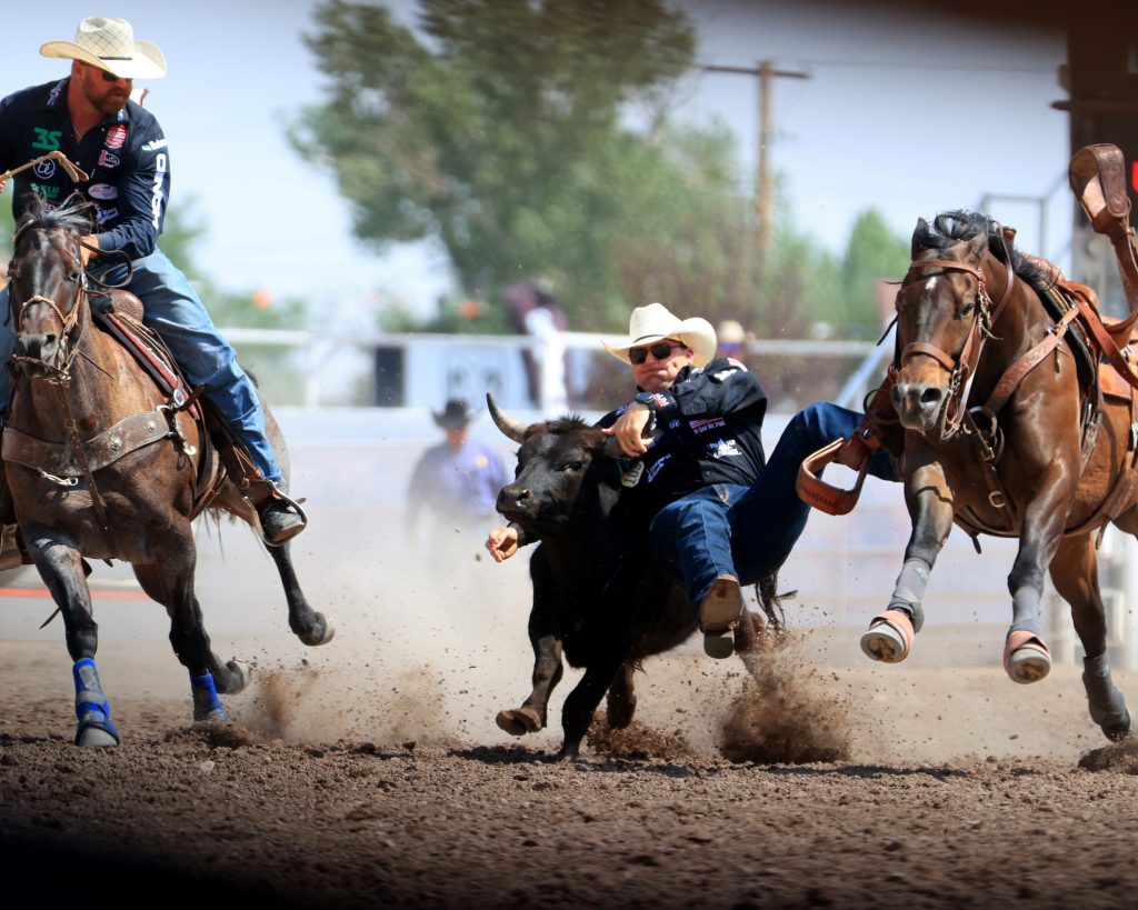 Semi Finals set at CFD Rodeo | TheFencePost.com
