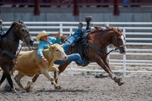 World champs facing adversity and unheralded cowboys win big at CFD ...