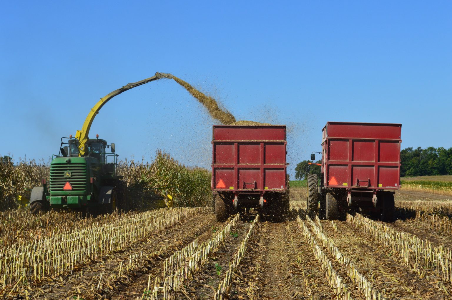 Successful silage feed-out begins in the field | TheFencePost.com