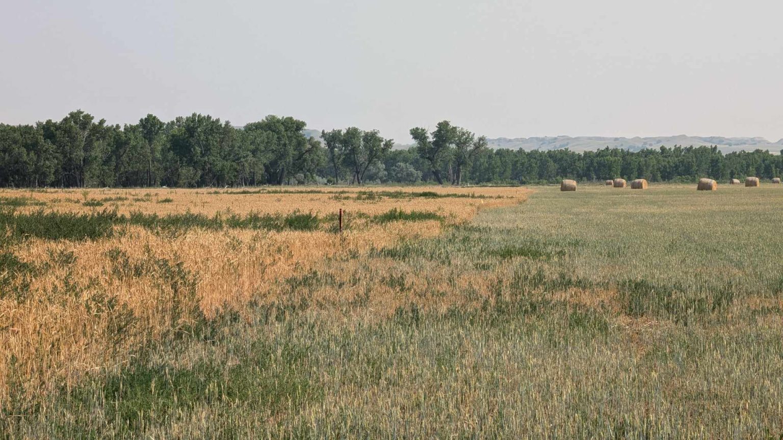 NCBA’s Lane: Maude indictments inspire anger from South Dakota to ...