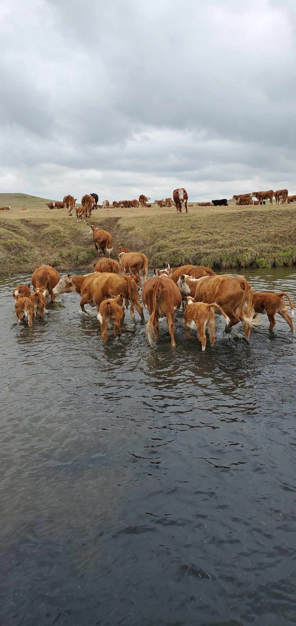 What Happens When a Farm Bill Dies? | TheFencePost.com