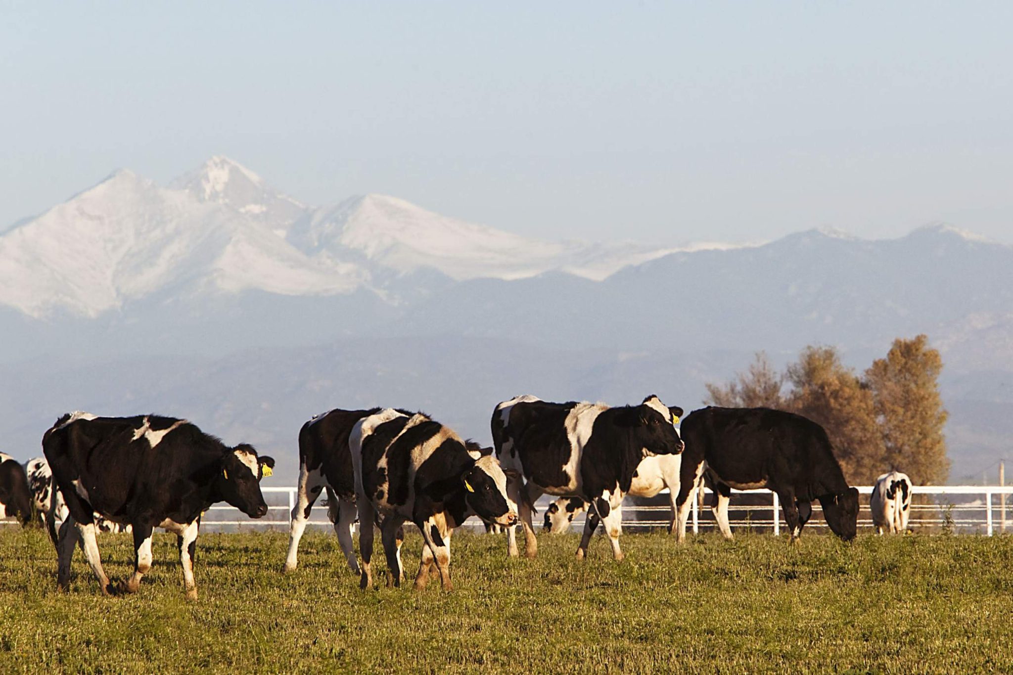 USDA announces new Federal Order, begins national milk testing strategy ...