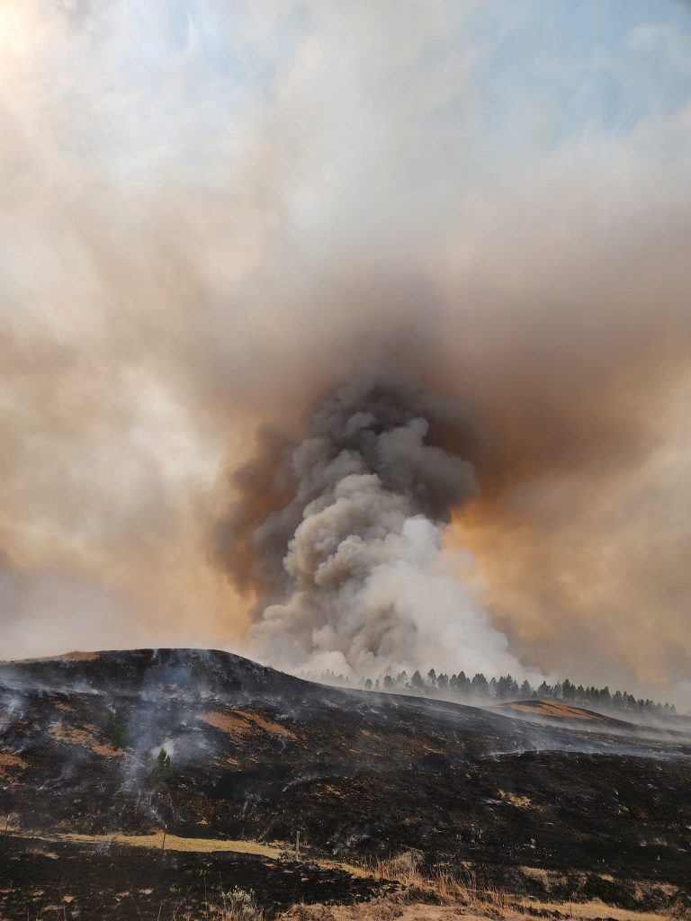 Rebuilding after Remington Fire; Short Draw Fire | TheFencePost.com