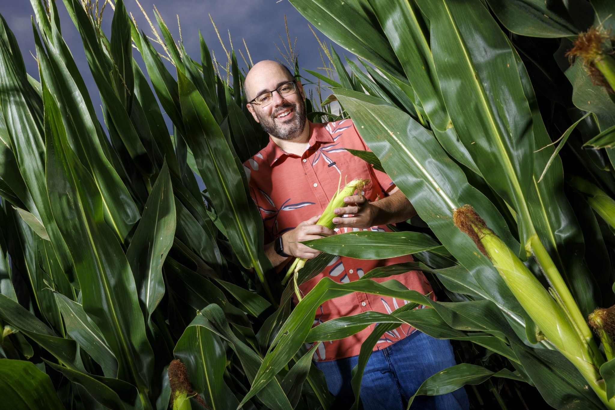Husker researcher to help launch first digital twin of corn field ...