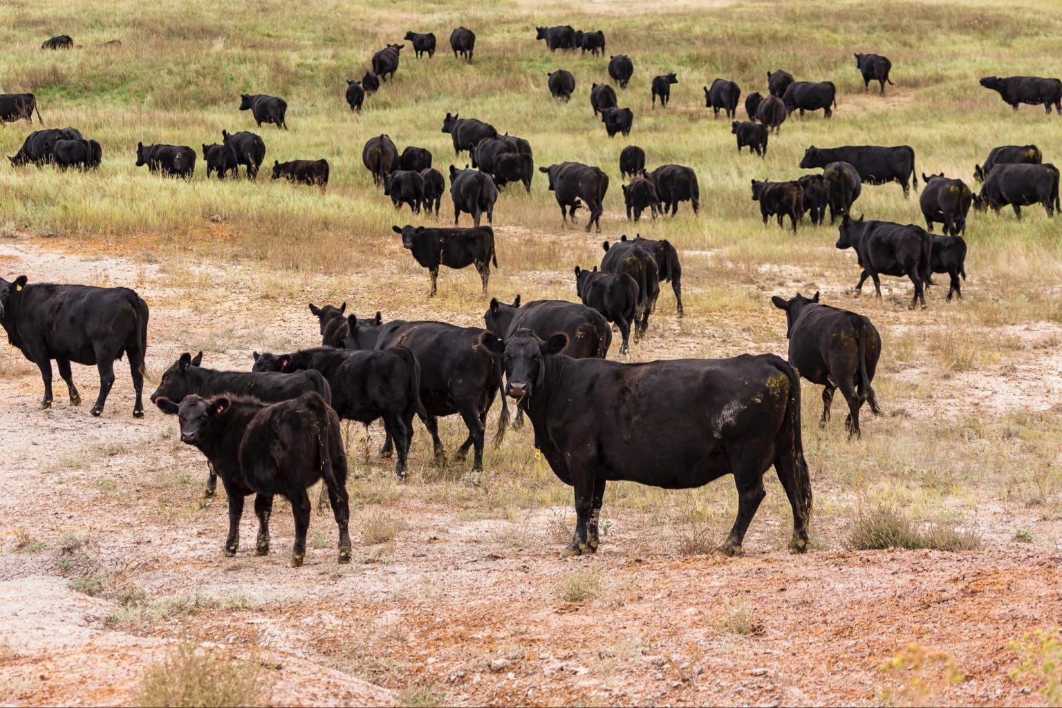 S.D. Maude theft of federal property case bound for court ...