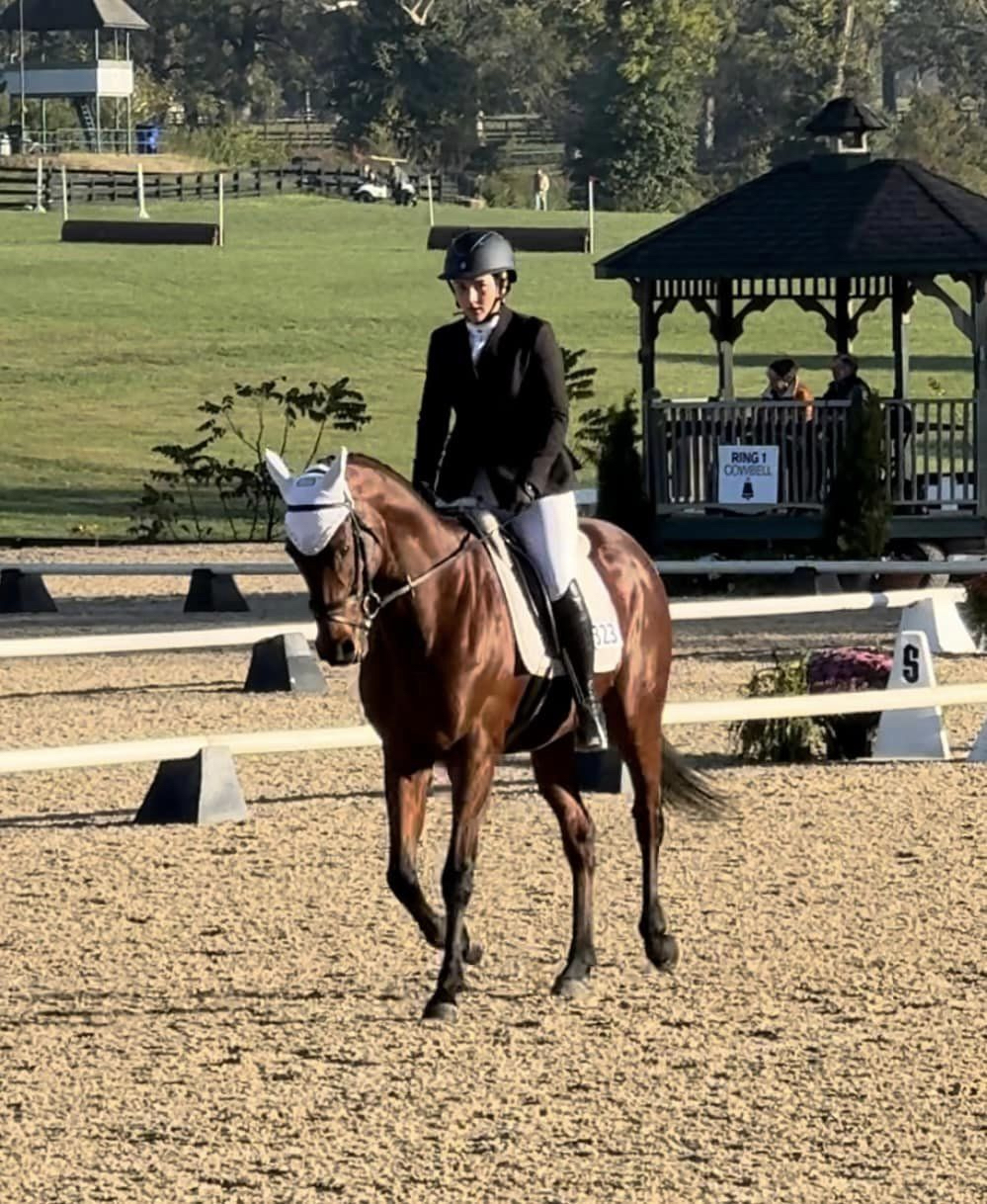 CSU students compete in Thoroughbred Makeover | TheFencePost.com