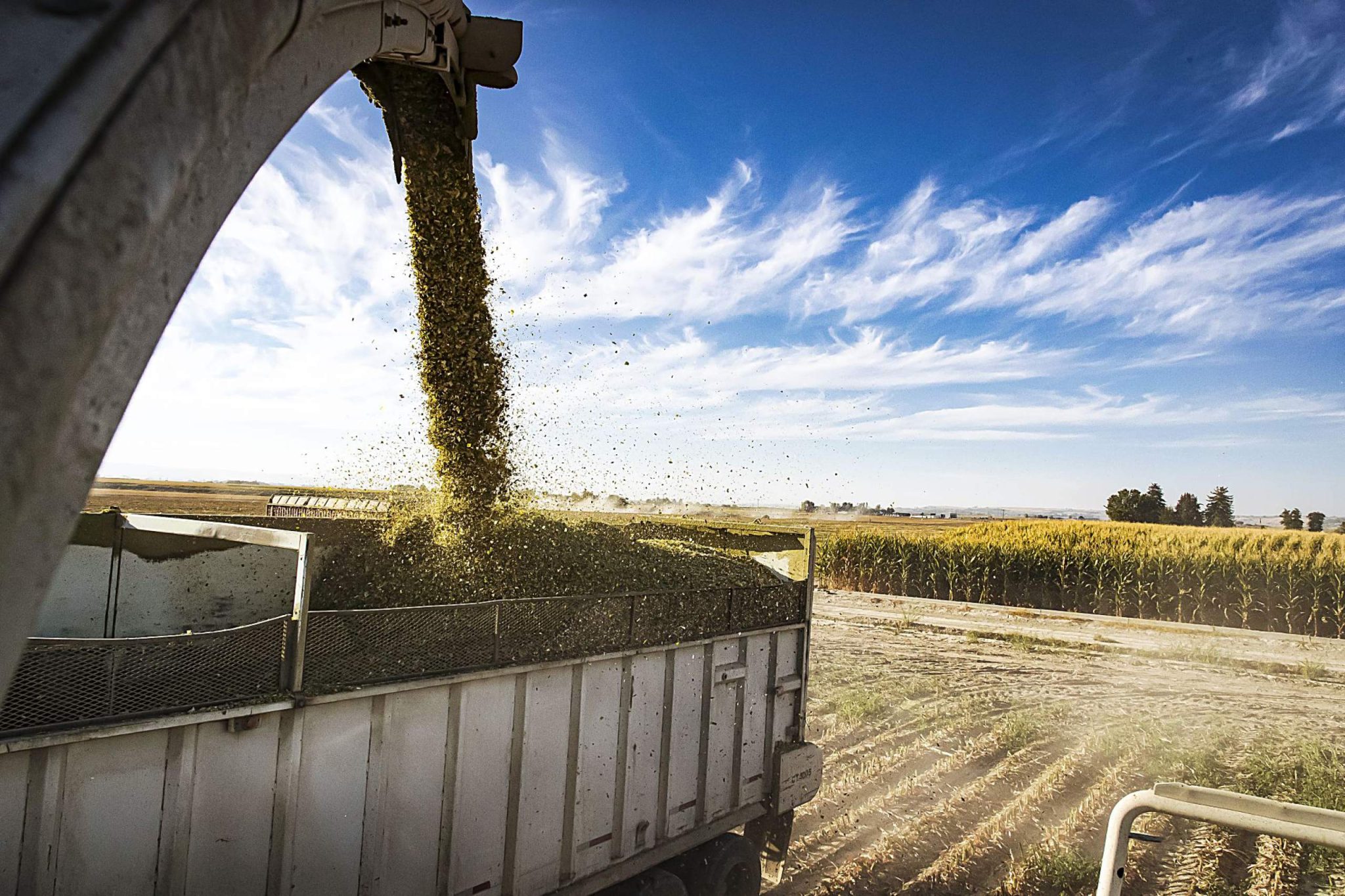 Conaway added to list of rumored Ag secretaries | TheFencePost.com