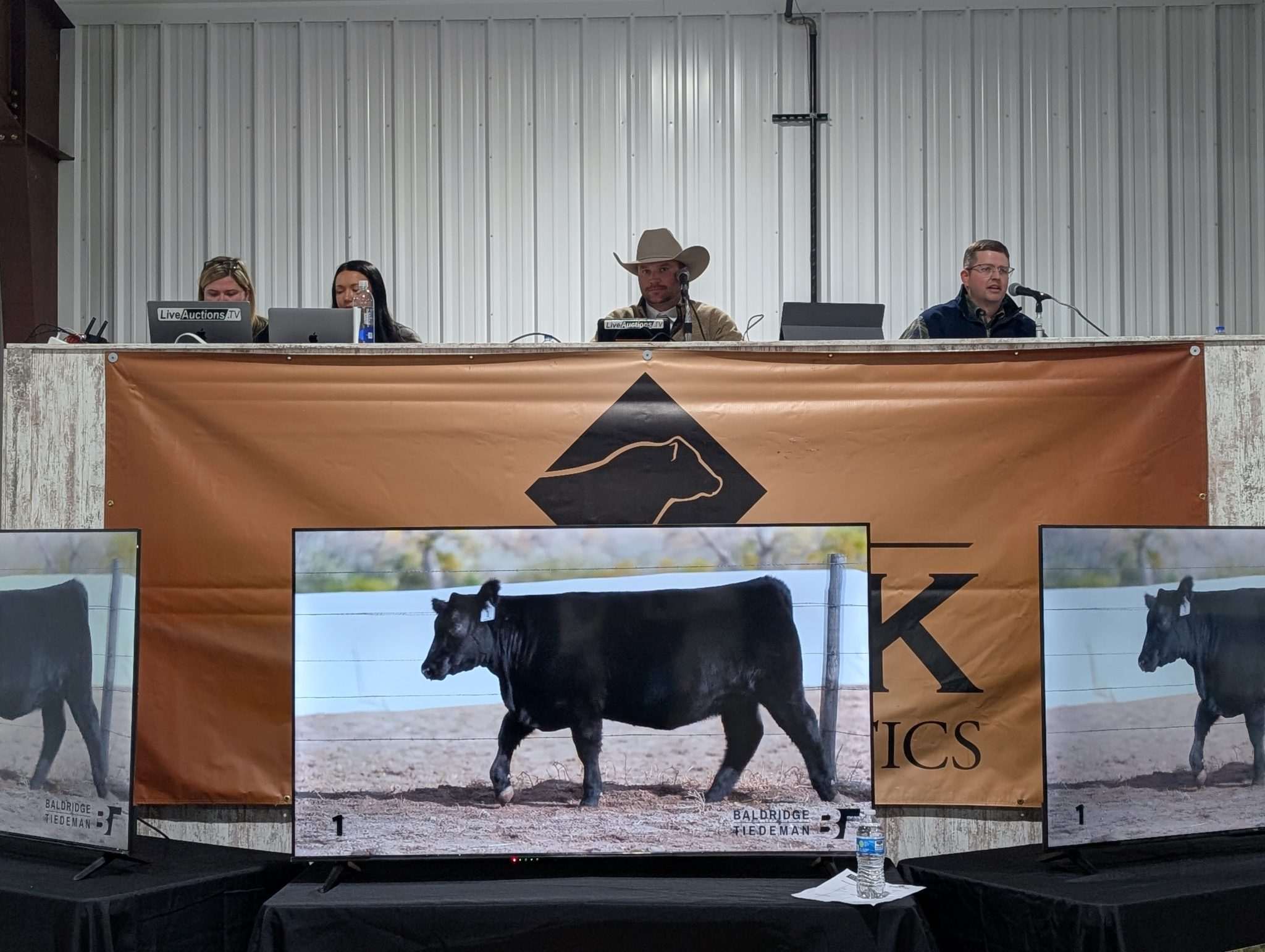 Baldridge – Tiedeman and Frank Cattle & Genetics Annual Female Sale ...
